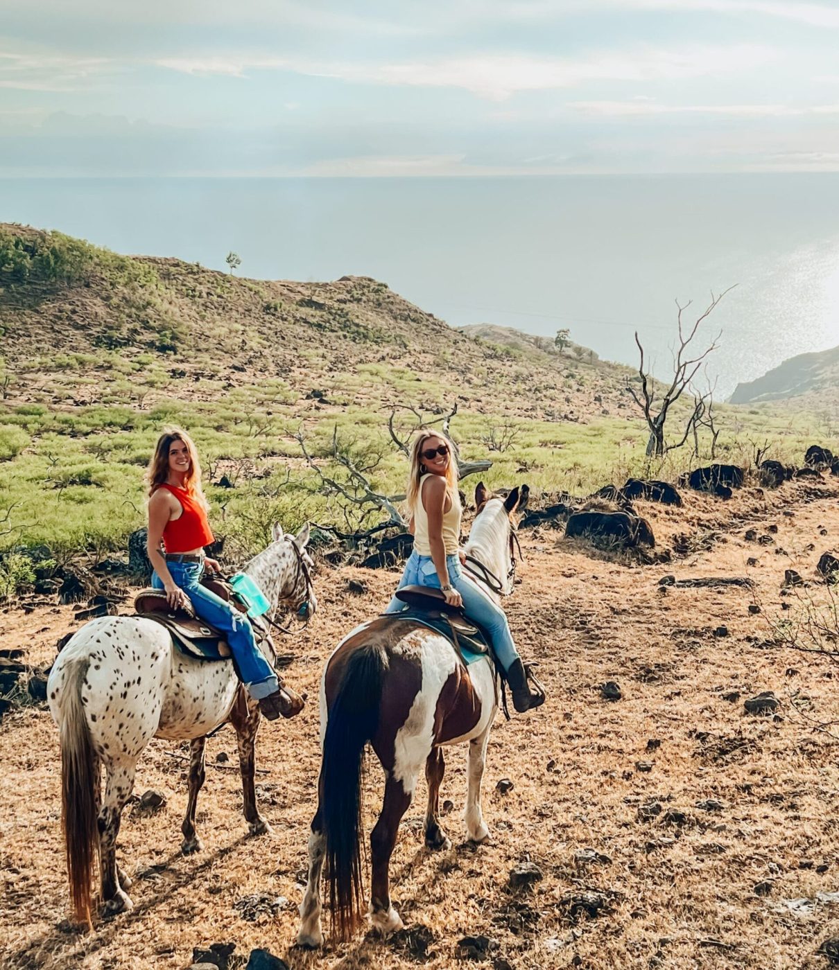 Contact Us | Horseback Riding in HI | Palehua Trail Rides