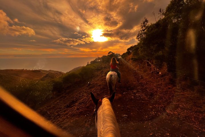 Sunshine or Sunset Horseback Rides Hawaii | Palehua Trail Rides