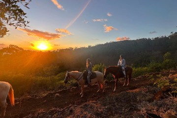 Sunshine or Sunset Horseback Rides Hawaii | Palehua Trail Rides