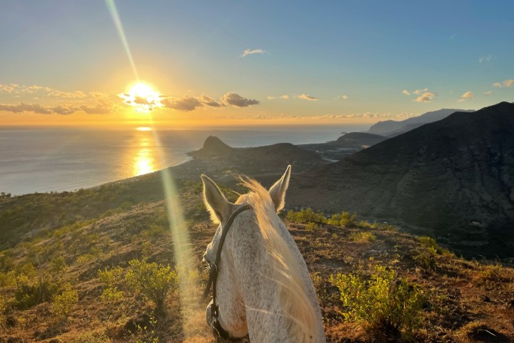 Private Horseback Ride in Honolulu, HI | Palehua Trail Rides