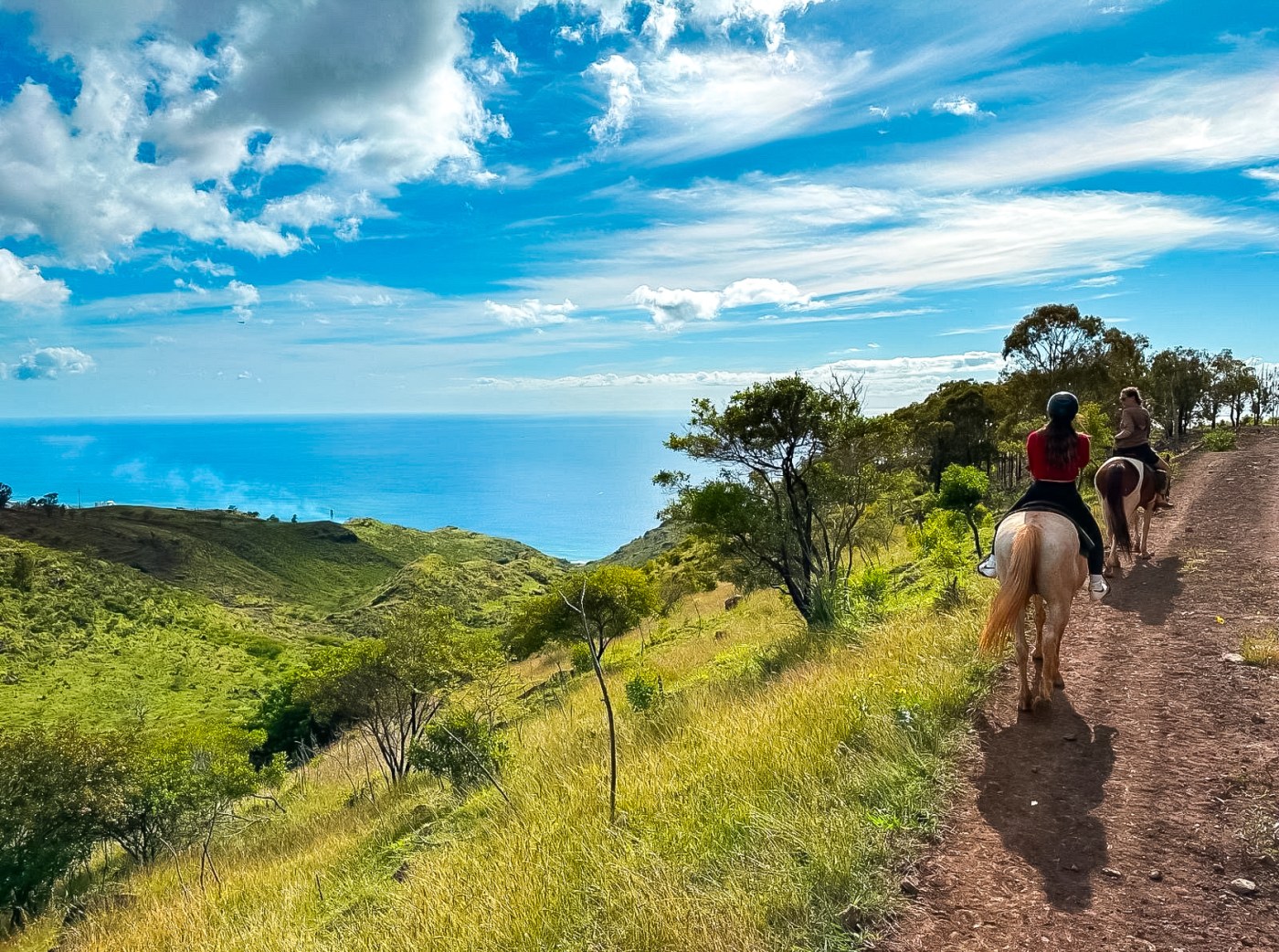 Private Horseback Ride in Honolulu, HI | Palehua Trail Rides