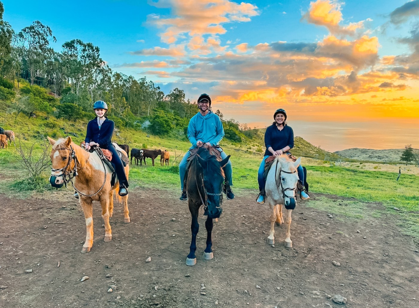 Sunshine or Sunset Horseback Rides Hawaii | Palehua Trail Rides