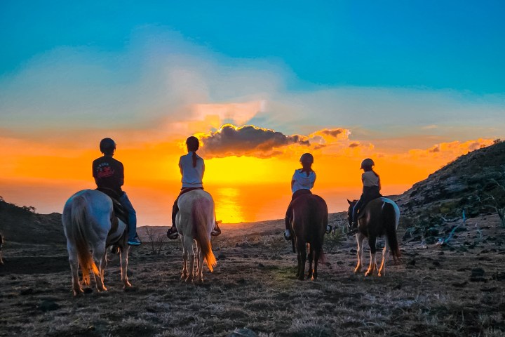 Sunshine or Sunset Horseback Rides Hawaii | Palehua Trail Rides