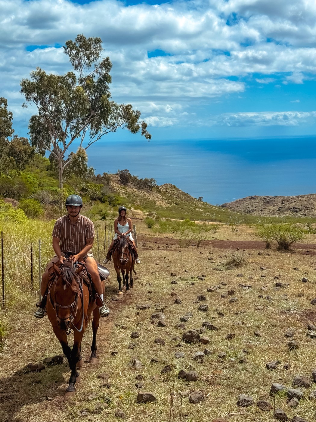 Private Horseback Ride in Honolulu, HI | Palehua Trail Rides