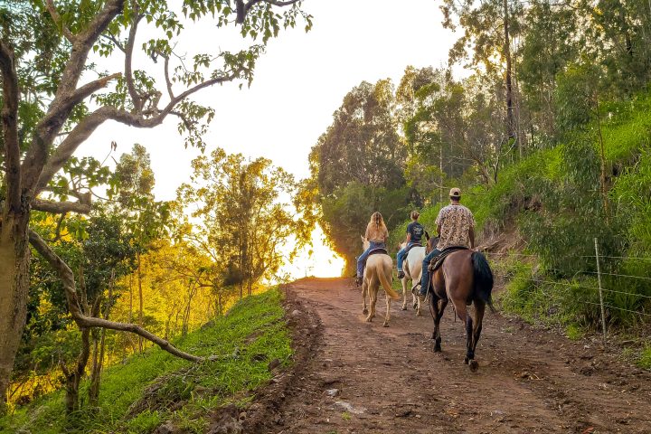 Sunshine or Sunset Horseback Rides Hawaii | Palehua Trail Rides