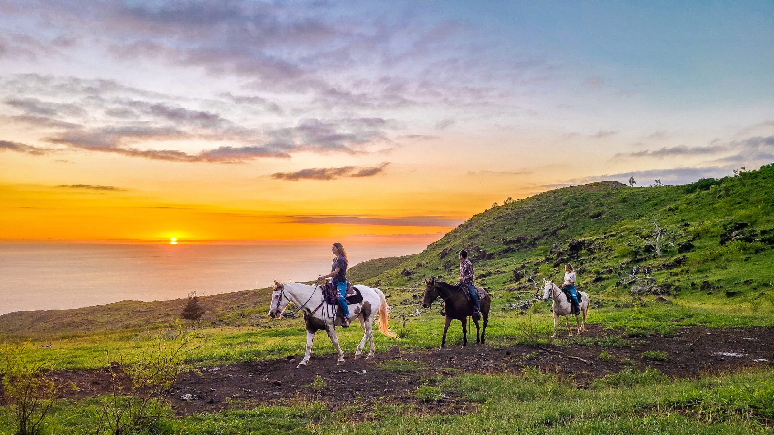 Pālehua Trail Rides | Horseback Rides in Kapolei, Hawaii