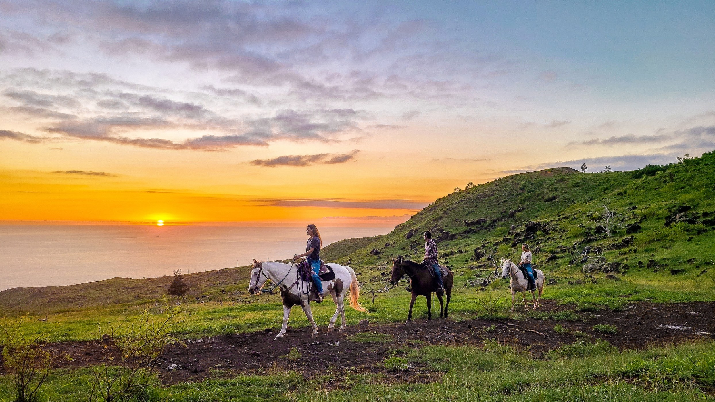 Pālehua Trail Rides | Horseback Rides in Kapolei, Hawaii